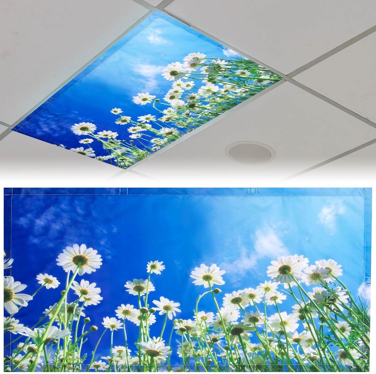 Patelai 4 x 2 Feet Fluorescent Light Cover for Fabric Ceiling Classroom ...