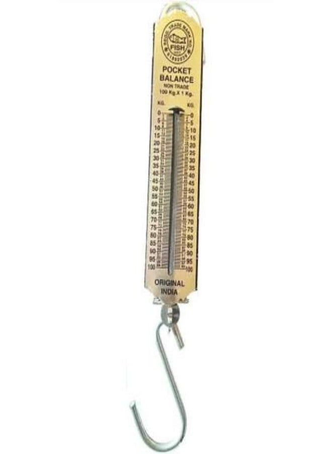 Atipriya Atipriya 100kg Heavy-Duty Pocket Hanging Balance | Double ...