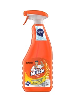 Mr. Muscle Kitchen Cleaner - Trigger, Citrus 500ml UAE | Dubai, Abu Dhabi