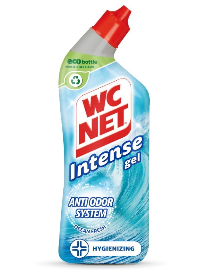 Wc Net Toilet Cleaner Intense Gel Ocean Fresh 750ml | Best Price UAE | Dubai, Abu Dhabi