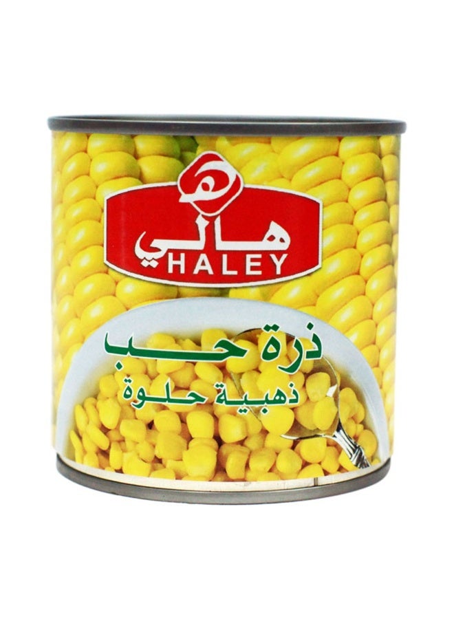 Haley Whole Kernel Sweet Corn 425G | Best Price KSA | Riyadh, Jeddah