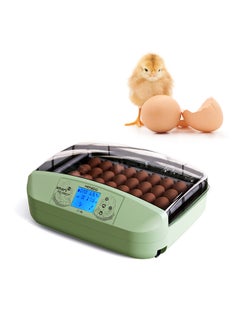 Generic Egg Incubator 32 Eggs Poultry Digital Hatcher with Auto Egg ...