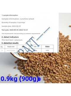 Generic Wheat Kernels With Skins Sprouts Edible Coarse Cereals To Make ...