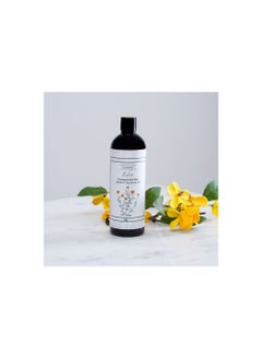 Pan Home Eden Pomegranate Noir Reed Diffuser 1.4l clear UAE | Dubai ...