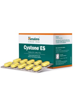 Generic Cystone ES Tablets - 60 Capsules | Best Price KSA | Riyadh, Jeddah