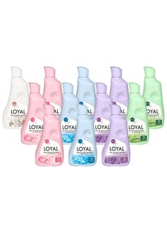 loyal Fabric Softener And Freshener 750ml, Pack of 12 UAE | Dubai, Abu ...