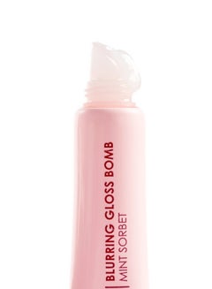 Braes THE PLUMPING GLOSS BOMB - MINT SORBET | Best Price Egypt | Cairo ...