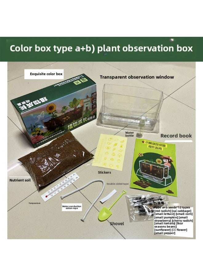 Generic Children's Planting Observation Scientific Planting Experiment ...