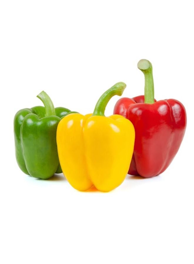 Buy Capsicum Mix (Green, Yellow, Red) Online | 15 Minutes Instant ...
