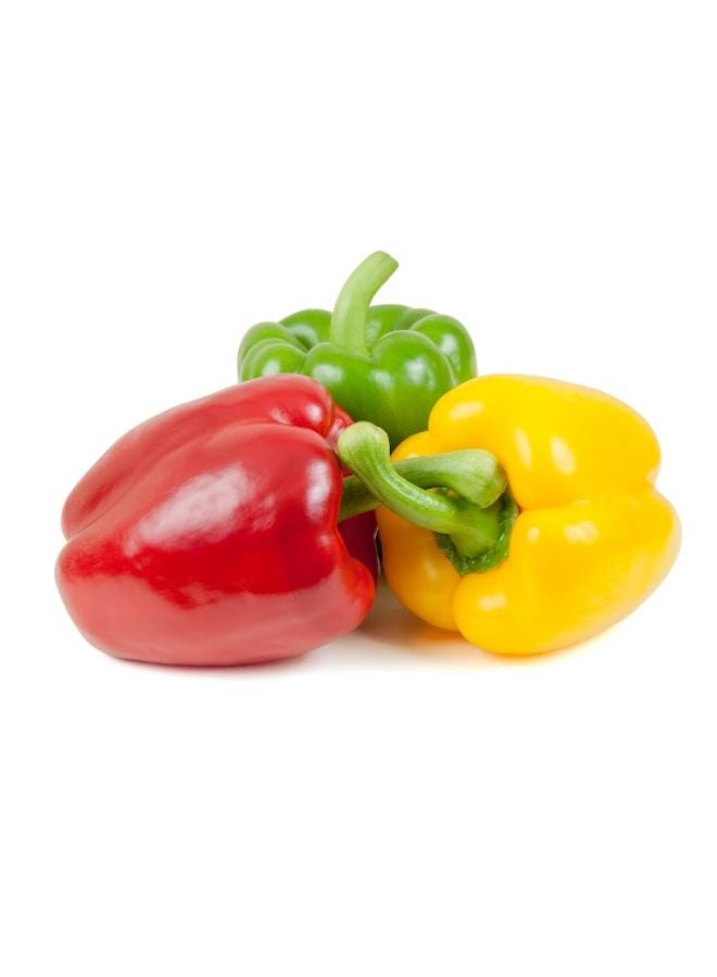 Buy Capsicum Mix (Green, Yellow, Red) Online | 15 Minutes Instant ...