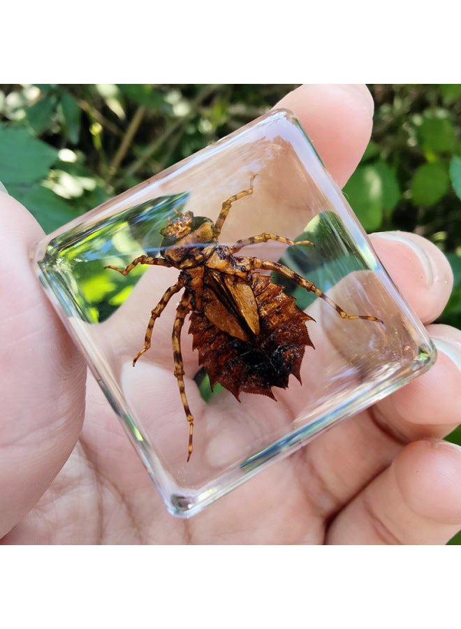 Generic Small Animal Real Insect Resin Real Worm Scarab Scorpion Spider ...