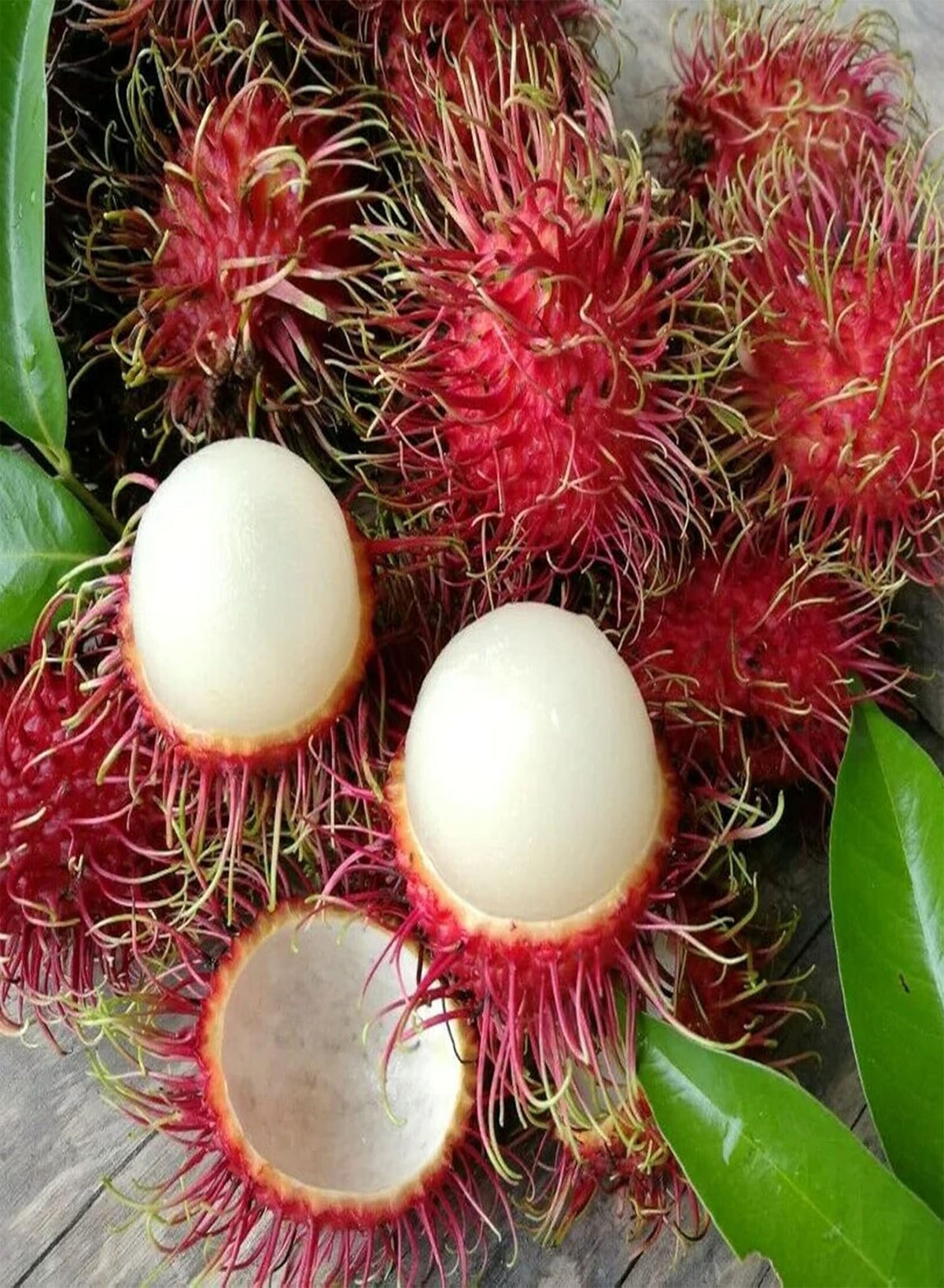 GGOOT 10Pcs Rambutan Litchi Seeds Pack | Fresh Natural Growing ...