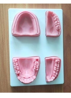 Generic Latest Products Oral Suture Practice Model With Base Tooth ...