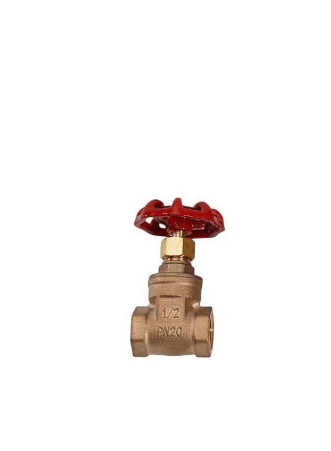 Generic Econ Bronze Gate Valve PN20-1/2'' | Best Price UAE | Dubai, Abu ...