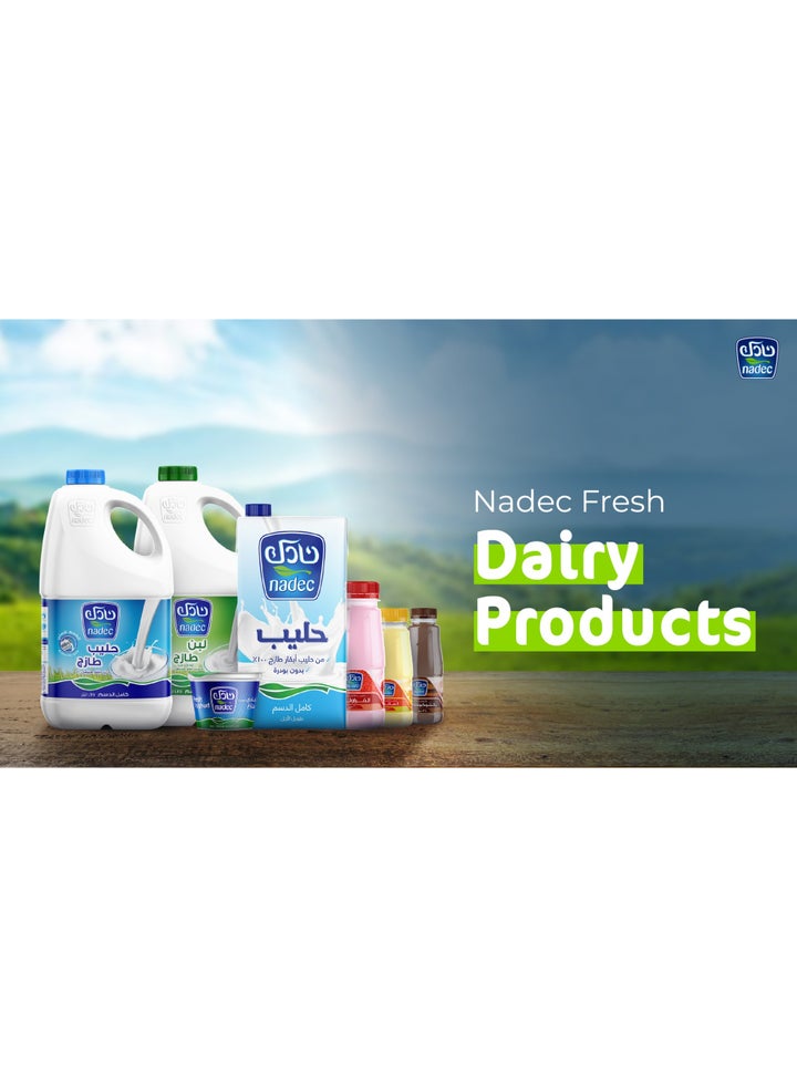 Buy Nadec Fresh Full Fat Laban Online | 15 Minutes Instant Delivery ...