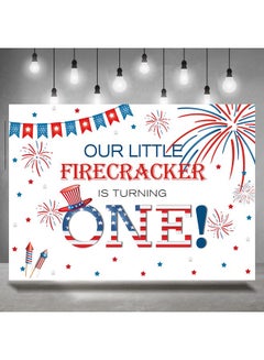 Rsuuinu 1St Birthday Party Backdrop 4Th Of July Independence Day Kids ...