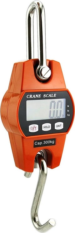 Plt Power 300 kg Capacity Complete Steel Crane Calaskar Scale-2 Years ...