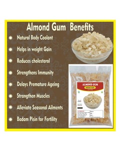 Generic 3V PRODUCTS Almond Gum 100g Badam Pisin Gond Katira Badam Gum ...