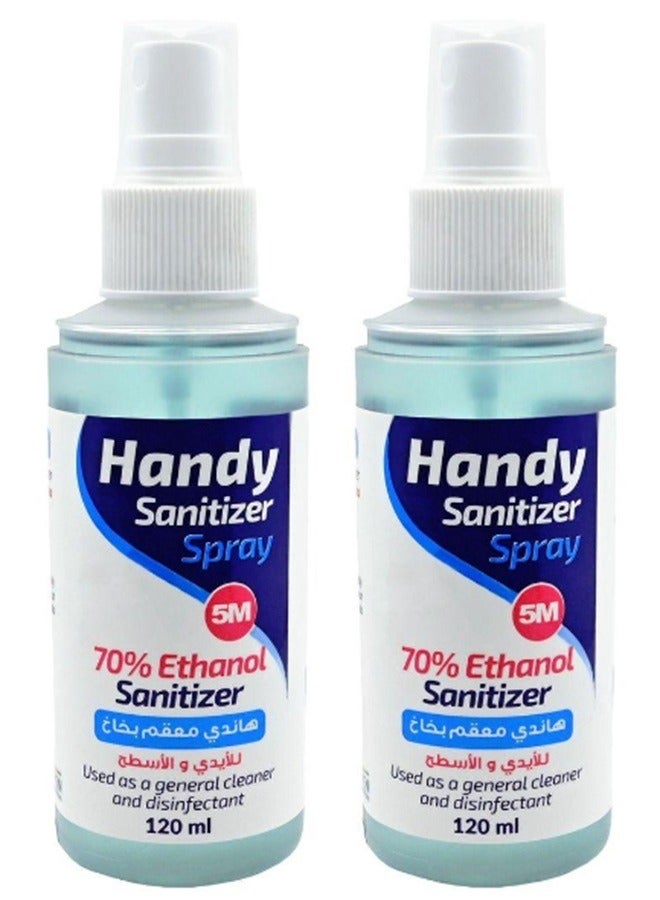 Handy Handy Original Alcohol Sanitizer 70% Ethanol Spray 120 ML For ...