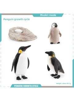 Generic Realistic Small Animal Model Toys Growth Life Cycle Frogs ...