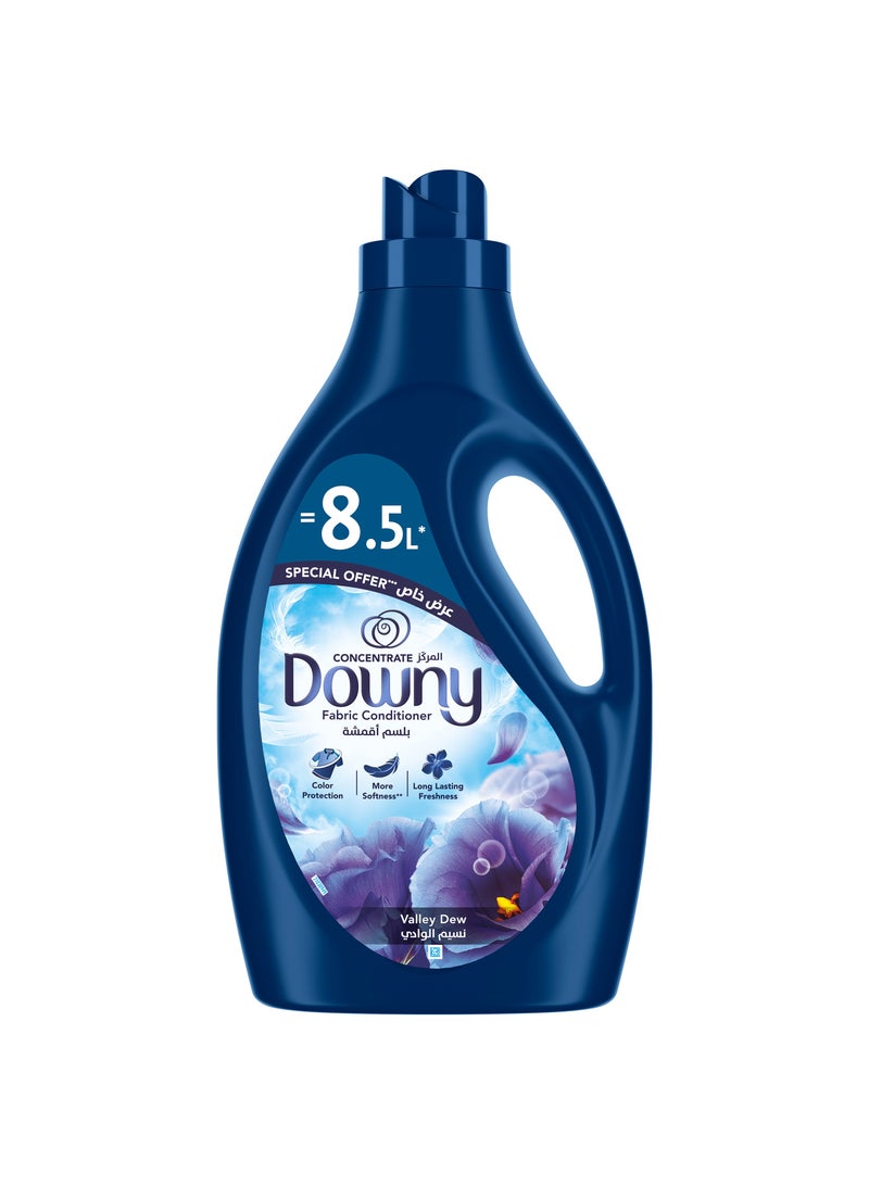 Buy Downy Concentrate Valley Dew Fabric Conditioner Value Pack Online ...