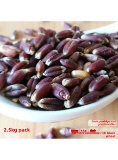 Generic Wheat Kernels With Skins Sprouts Edible Coarse Cereals To Make ...