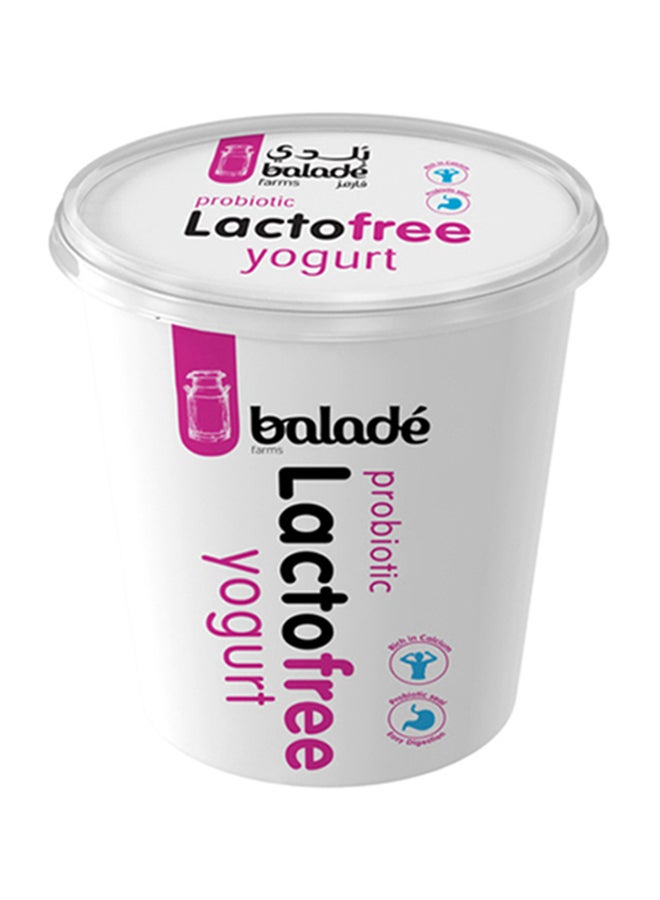 Buy Balade Lactofree Yogurt Online | 15 Minutes Instant Delivery ...
