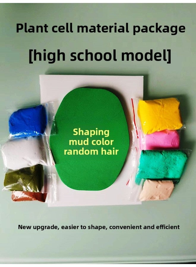 Generic Animal Plant Cell Model Making Materials Junior High School ...