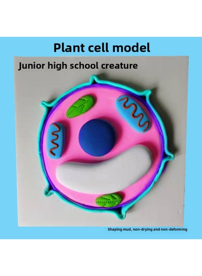 Generic Animal Plant Cell Model Making Materials Junior High School ...