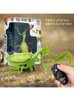 Generic Remote Control Prank Snake Spider Toy 6661 remote control ...