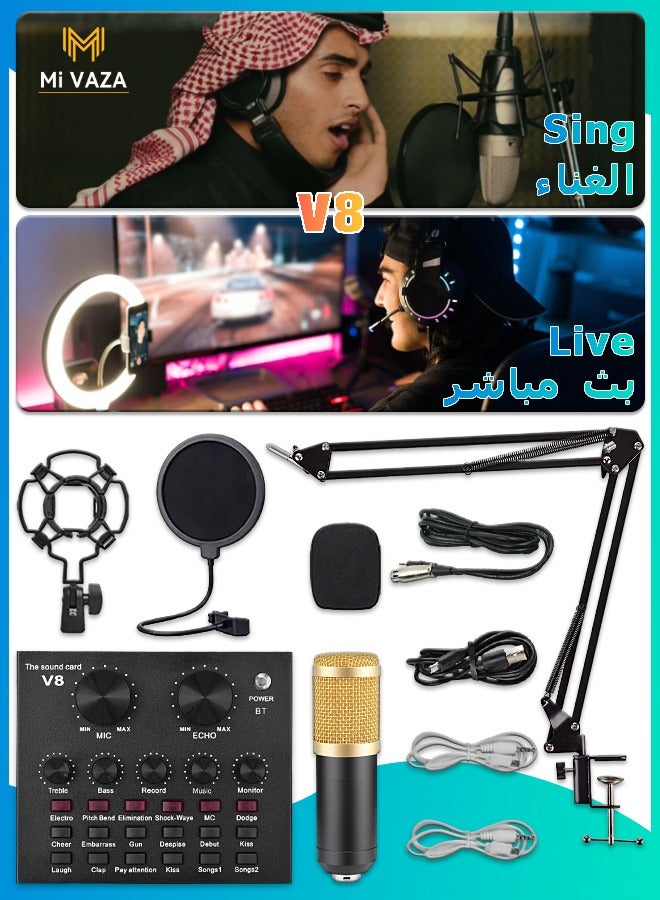Mi VAZA Condenser Microphone BundleMic Kit with Live Sound Card ...