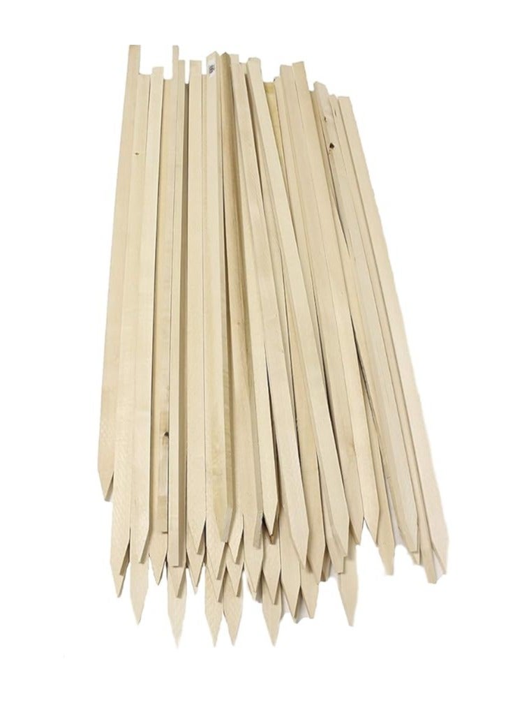 Generic Set of 30 Eco-Friendly Flat Bamboo Wooden Skewers Perfect for ...