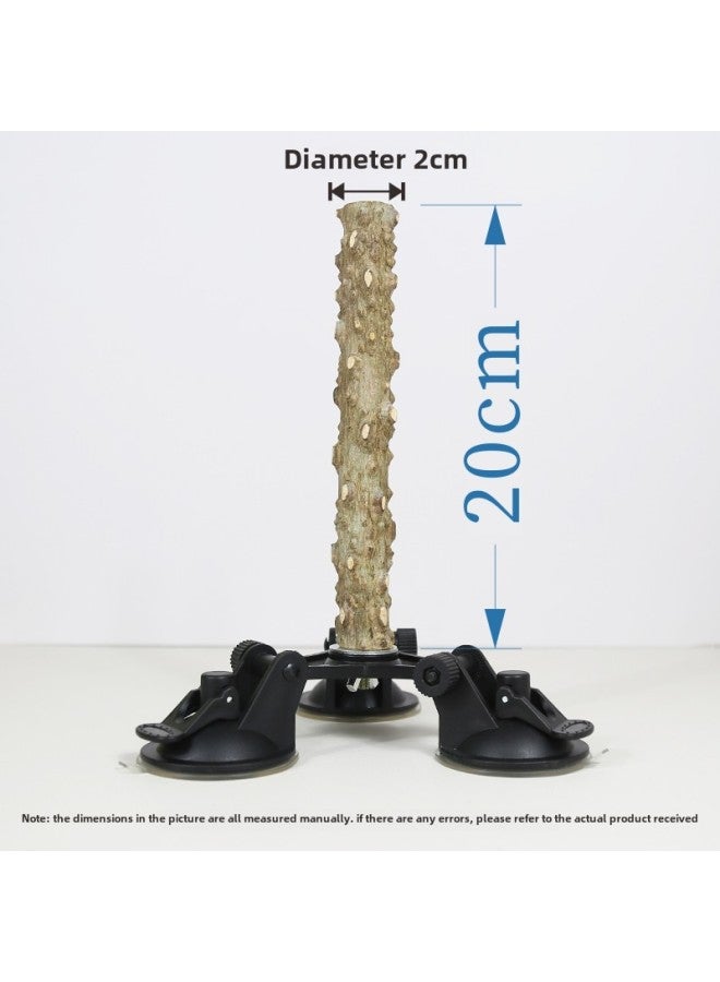 Generic Parrot Bird Air Stand Sucker Zanthoxylum Bungeanum Stand Rod ...