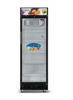 GENERALTEC Generaltec Single Door Showcase Chiller – Black | LED Light ...