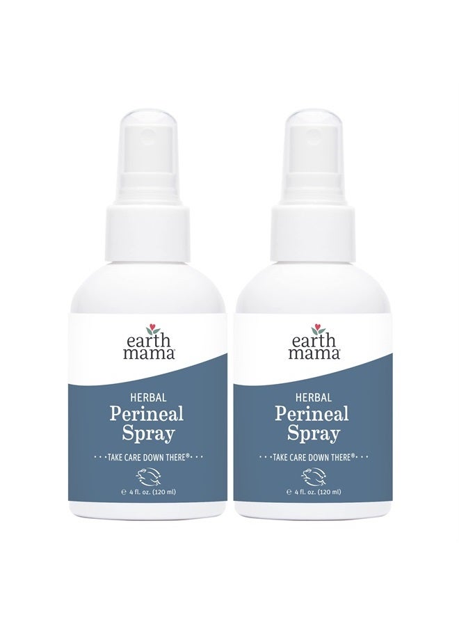 Earth Mama Herbal Perineal Spray | Safe for Pregnancy and Postpartum ...