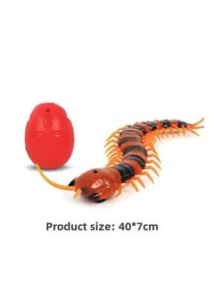 Generic Remote Control Mantis Toy Creative Real Animal Mantis Novelty ...