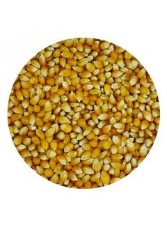AL Ataar Yellow Corn Seeds Popcorn 500 grams KSA | Riyadh, Jeddah
