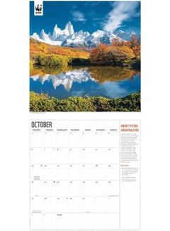Carousel Calendars WWF Fragile Earth, Wall 2025 (PFP) | Best Price UAE ...