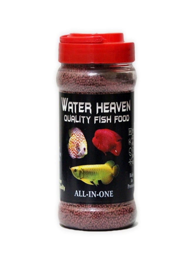 Water Heaven water heaven Fancy Fin Fish 0.6 kg Dry New Born, Adult ...