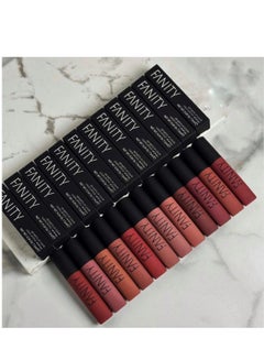 FANITY Set of 12 multi-colour permanent liquid lipstick KSA | Riyadh ...