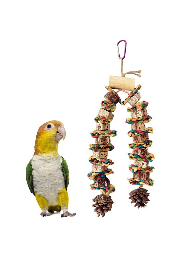 General Parrot grinds its beak and nibbles toys, medium and large birds ...