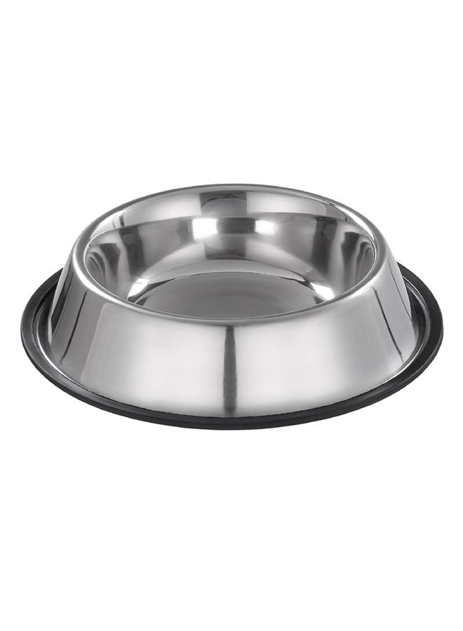 Generic Homebox Canine Stainless Steel Pet Bowl 700 ml | Best Price UAE ...