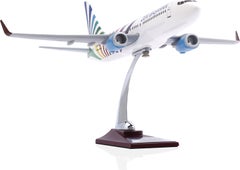 Zekupp 1:100 Boeing 737-800 Model Airplane, Special Colored Airplane ...