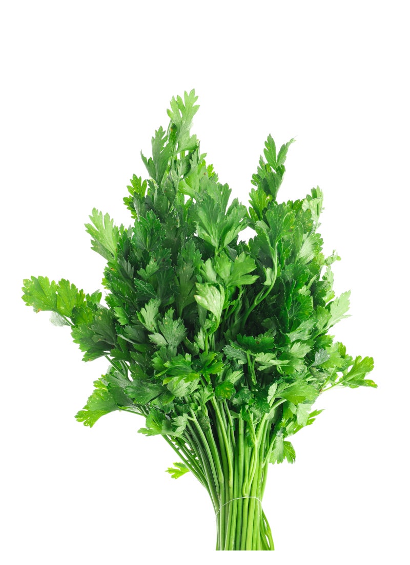 Buy Arugula Jerjer Leaves Online | 15 Minutes Instant Delivery ...