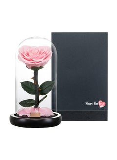 Share the Love Timeless Pink Rose in Glass Dome – Preserved Single Rose ...