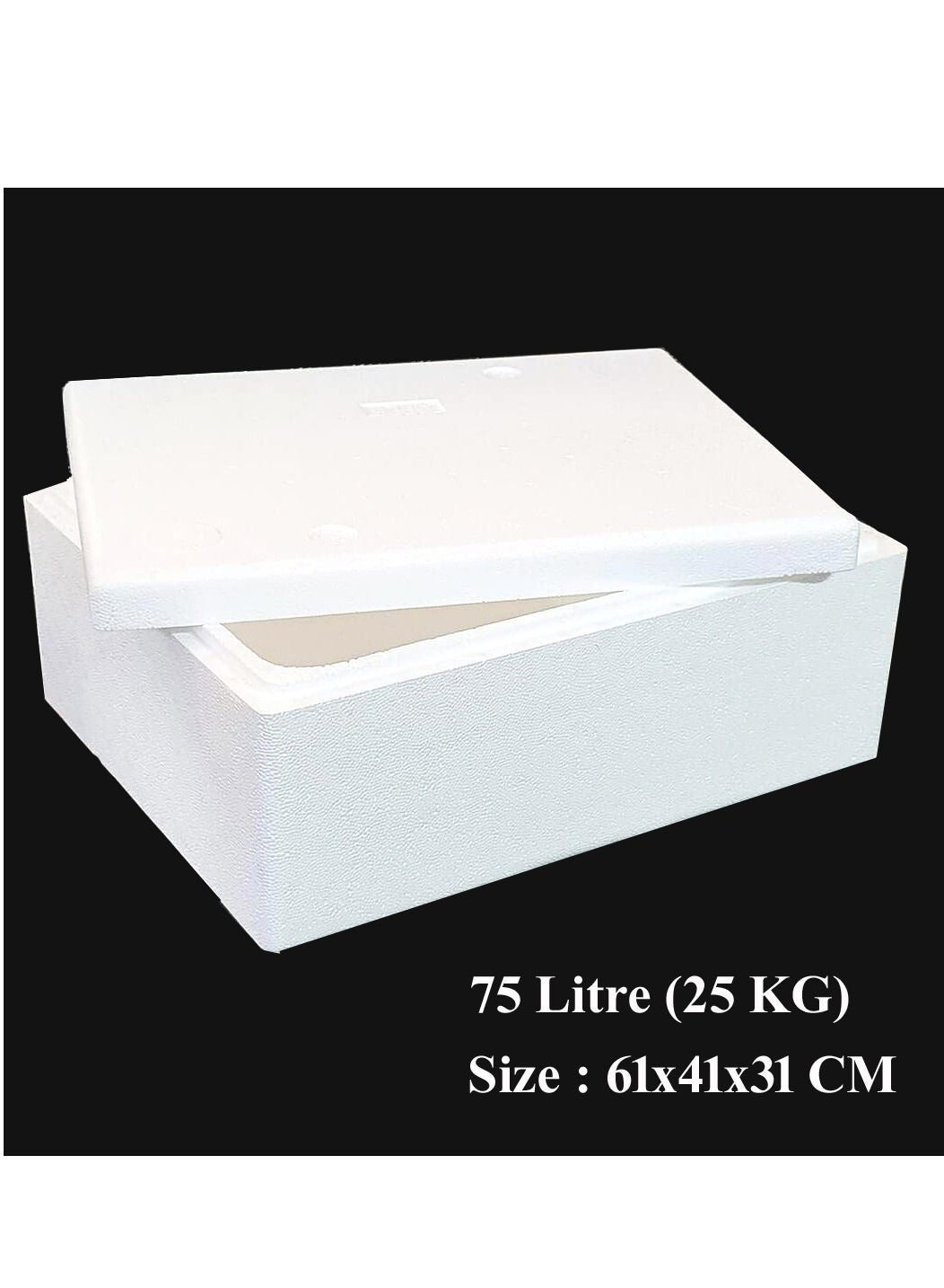 GO2CAMPS Ice Box Thermocol-75 Litre (25 KG) Thermocol Cool Box-Thermo ...