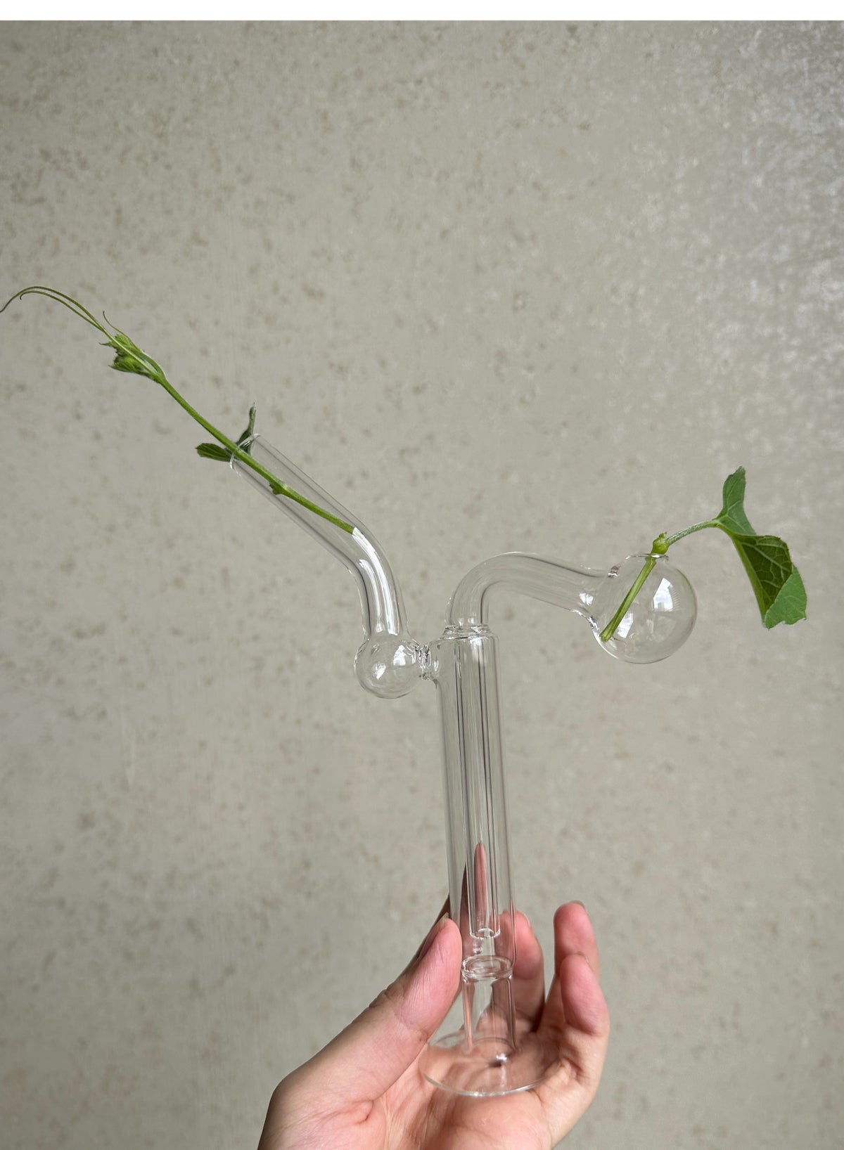 cmegke Home Decorative Luxury Design Vase Portable Mini Heat Resistant ...