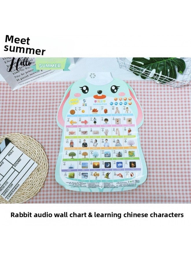 تسوق Generic وRabbit Pinyin Wall Chart Audio Children Literacy Early ...