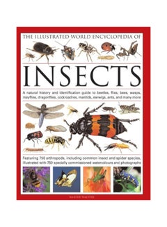 The Illustrated World Encyclopedia Of Insects: A Natural History And ...