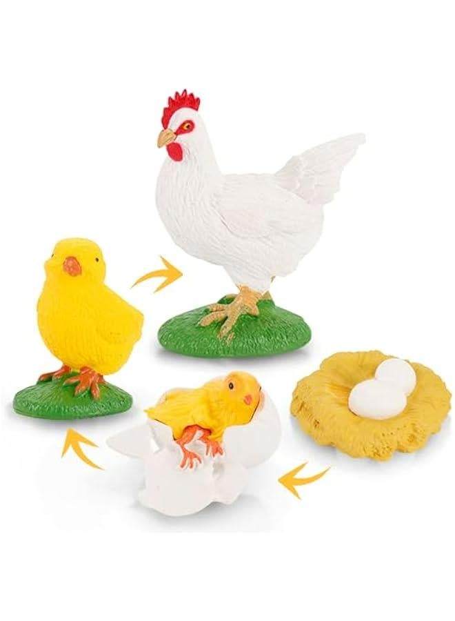 Chicken Life Cycle Toy Set - Realistic Farm Animal Figurines for ...